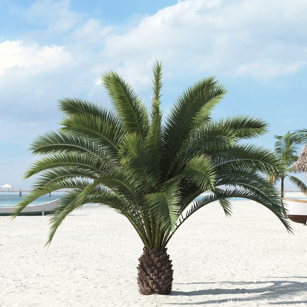 Tropical Coconut Palm Tree with Curved Fronds 3D model - Download Trees ...