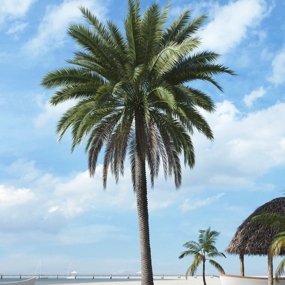 Tall Tropical Coconut Palm with Fronds 3D model - Download Trees on ...