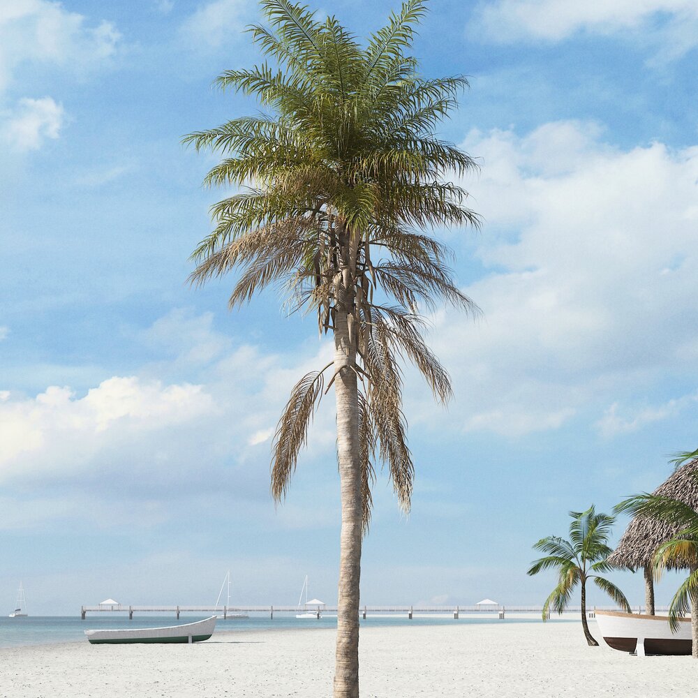 Tropical Coconut Palm Tree with Arching Fronds 3D model - Download ...