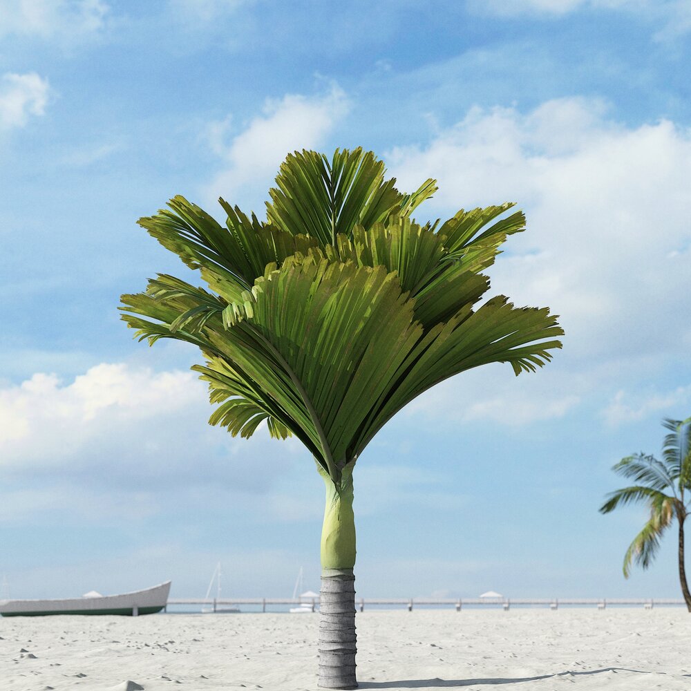 Tropical Small Palm 3D model - Download Trees on 3DModels.org