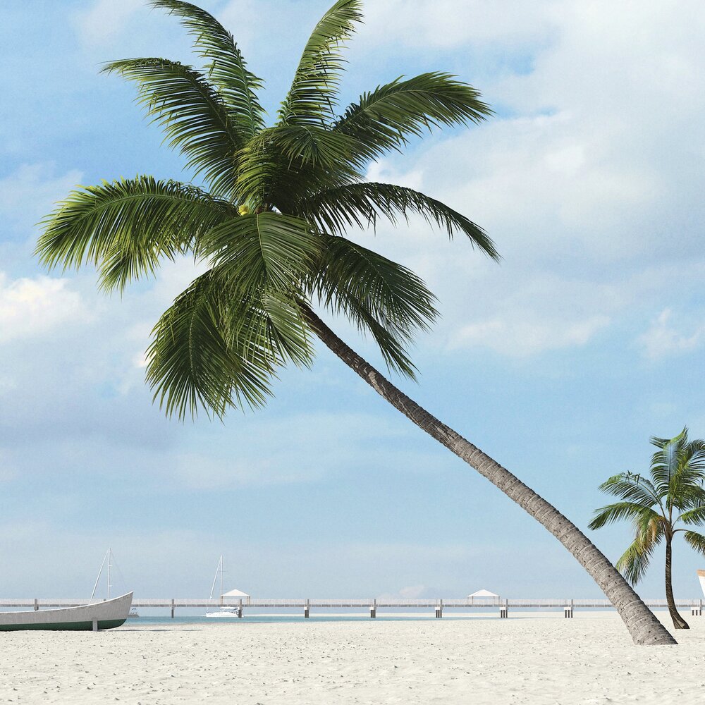 Curved Tropical Palm Tree with Feathery Fronds 3D model - Download ...