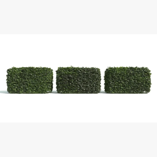 Hedge 3D Models Download - 3DModels.org