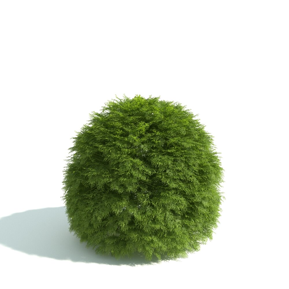 Round Boxwood Topiary Shrub Bush Garden 3D model - Download Bushes on ...