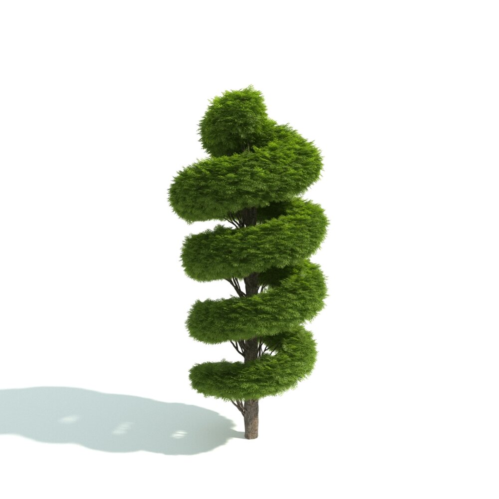 Spiral Topiary Tree 3D model - Download Trees on 3DModels.org