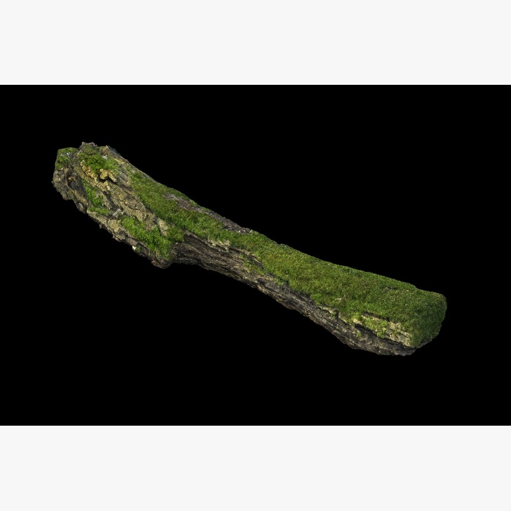 Fallen Wooden Branch with Green Moss 3D model - Download Landscapes on ...