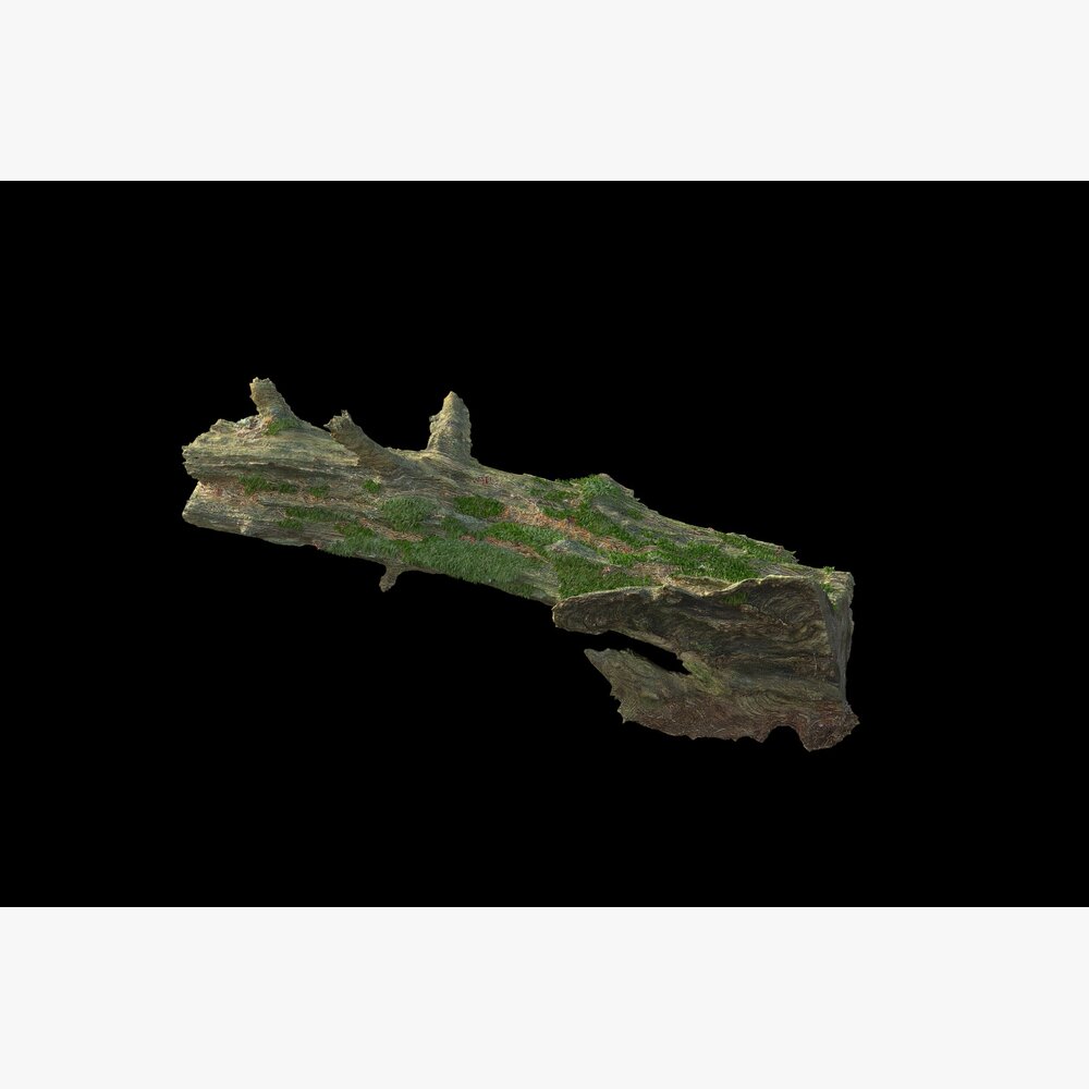 Weathered Mossy Tree Branch Wood Texture 3D model - Download Landscapes ...
