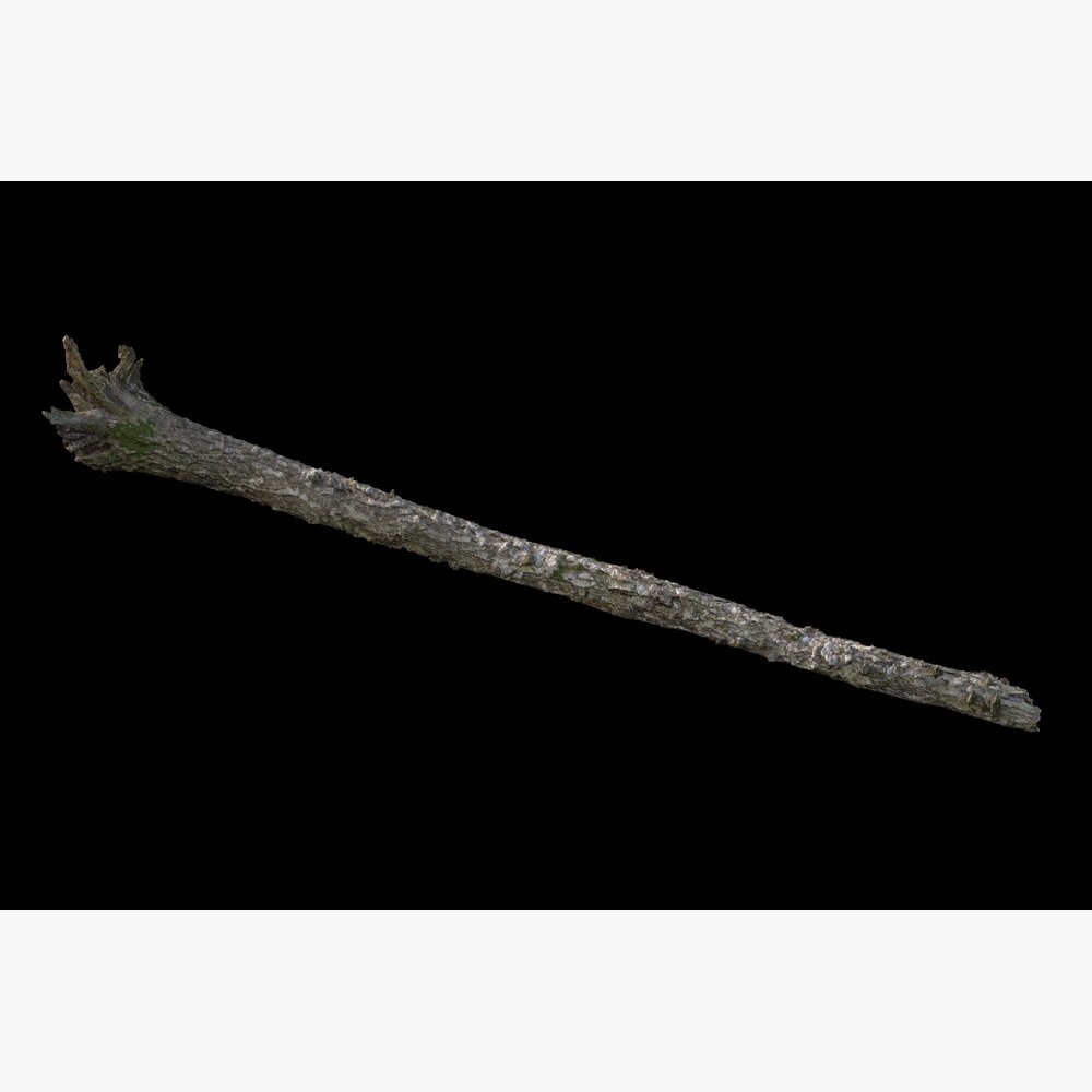 Weathered Wooden Branch with Moss Texture 3D model - Download ...