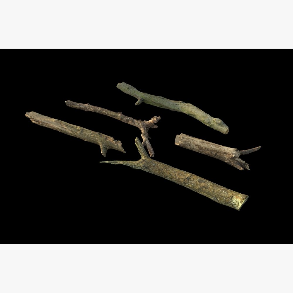 Dry Wooden Branches with Natural Texture 3D model - Download Landscapes ...