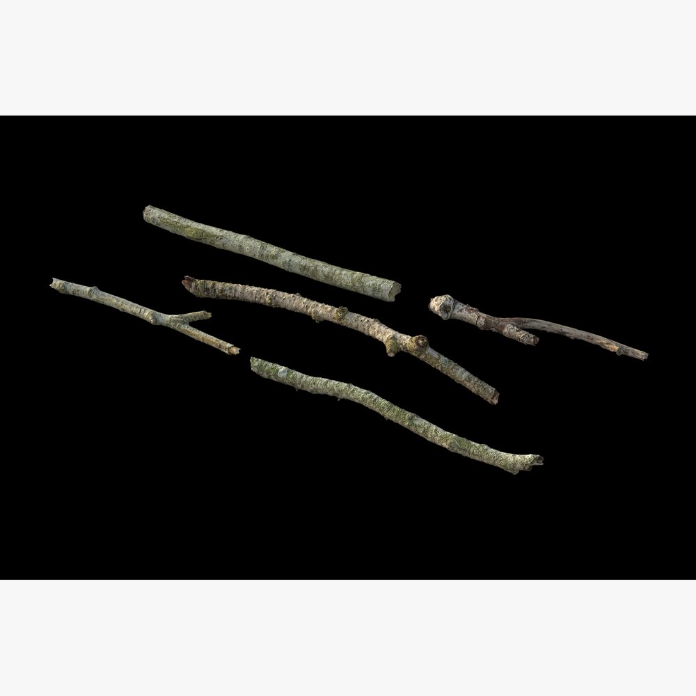 Dry Fallen Tree Branches with Bark Texture 3D model - Download ...