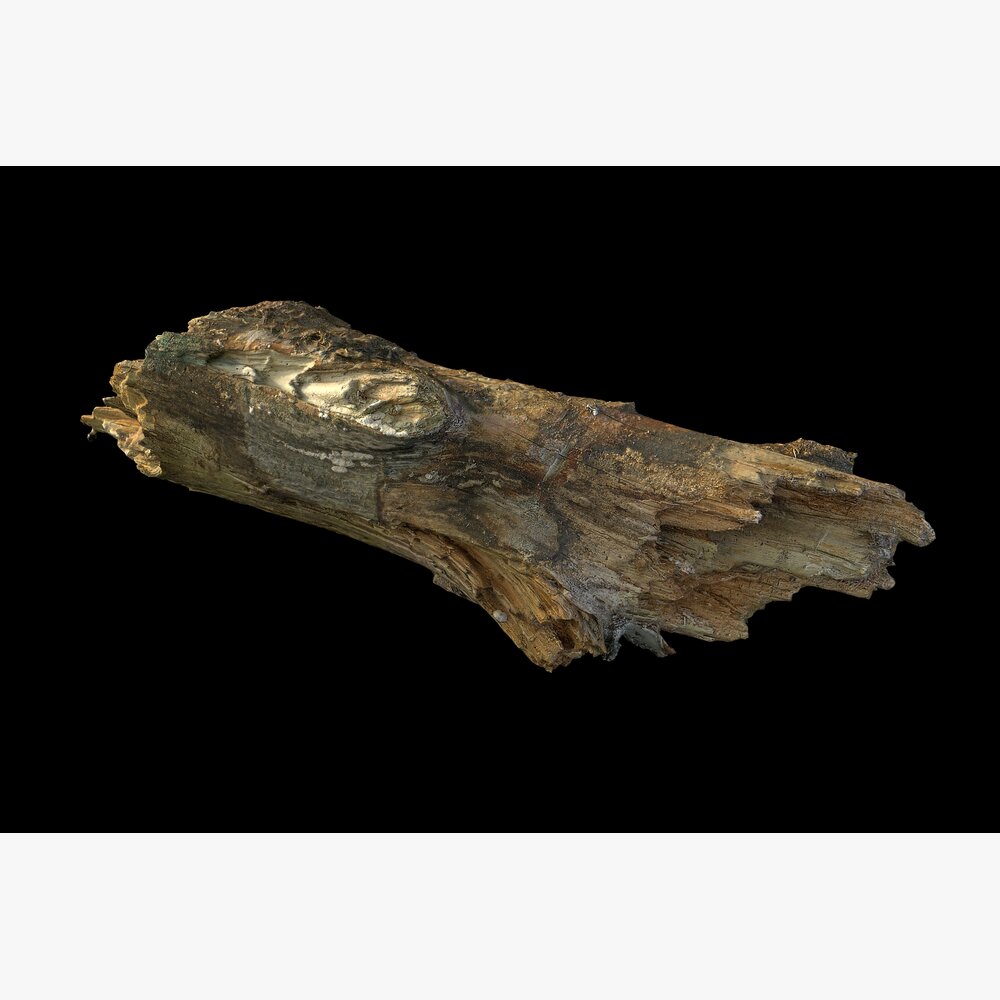Rustic Wooden Branch with Natural Bark Texture 3D model - Download ...