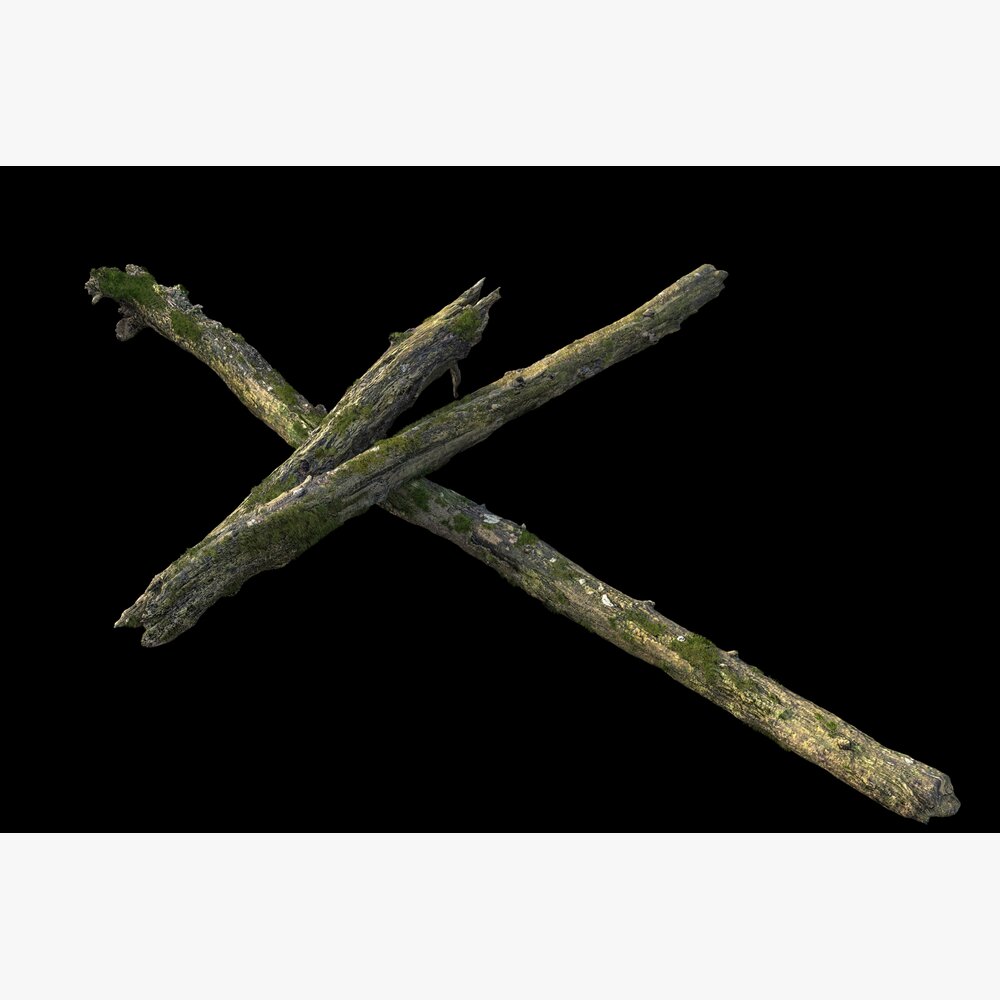 Fallen Dry Tree Branches with Moss 3D model - Download Landscapes on ...