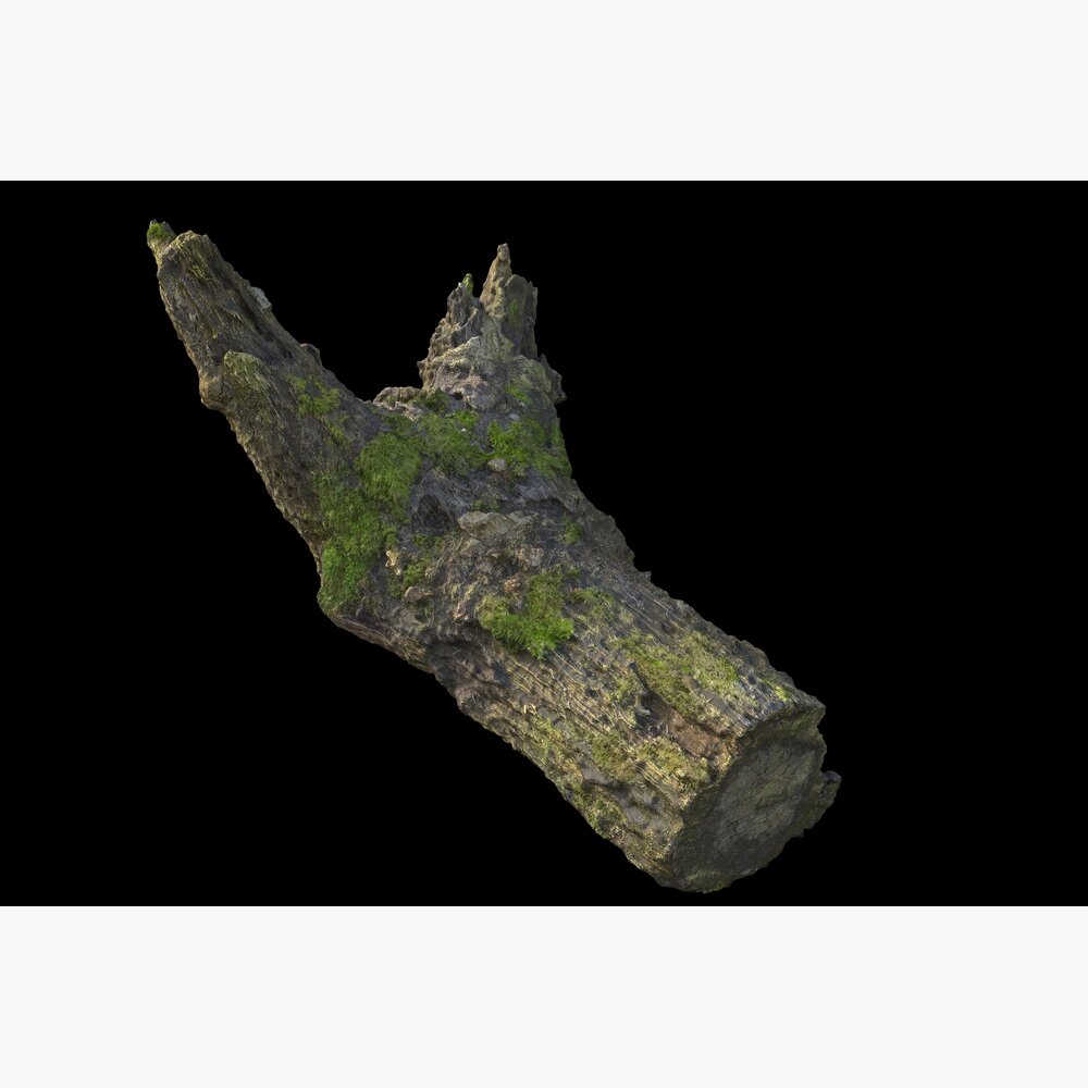 Weathered Wooden Log with Moss Texture 3D model - Download Landscapes ...