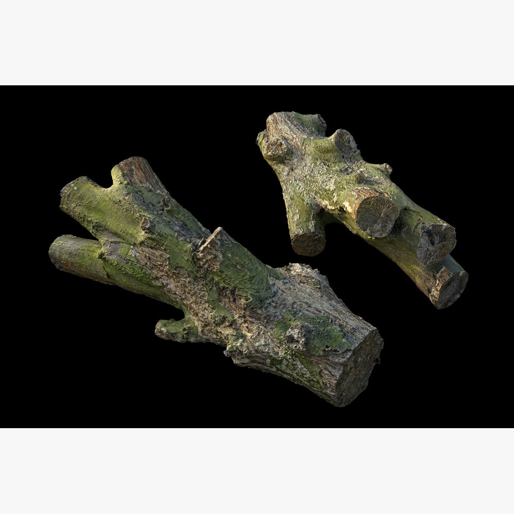 Mossy Fallen Oak Branch with Texture 3D model - Download Landscapes on ...