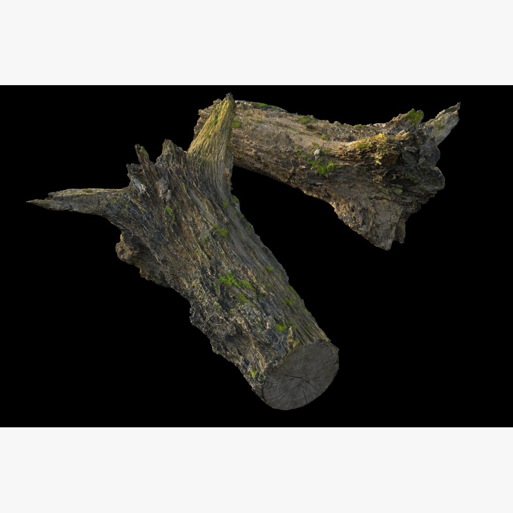 Weathered Oak Branch with Moss Texture 3D model - Download Landscapes ...