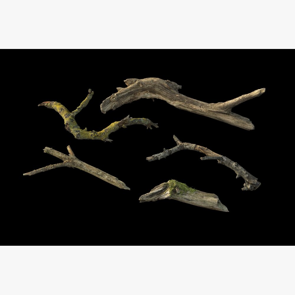 Weathered Wooden Branches with Moss Texture 3D model - Download ...