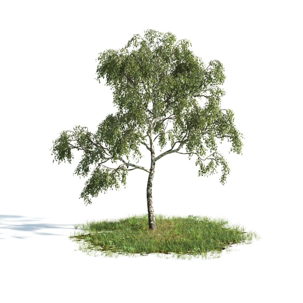Lone Tree on a Grassy Patch 3D model - Download Trees on 3DModels.org