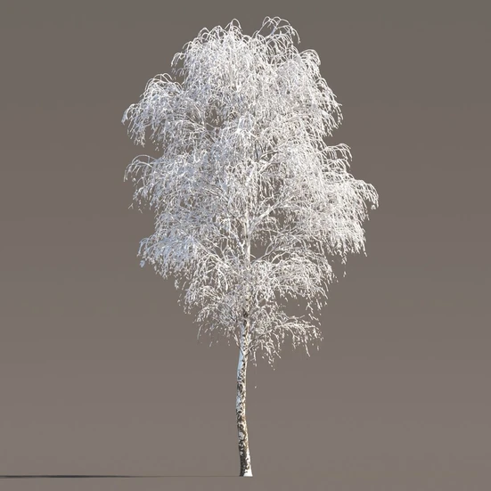 Winter trees 3D Models Download - 3DModels.org