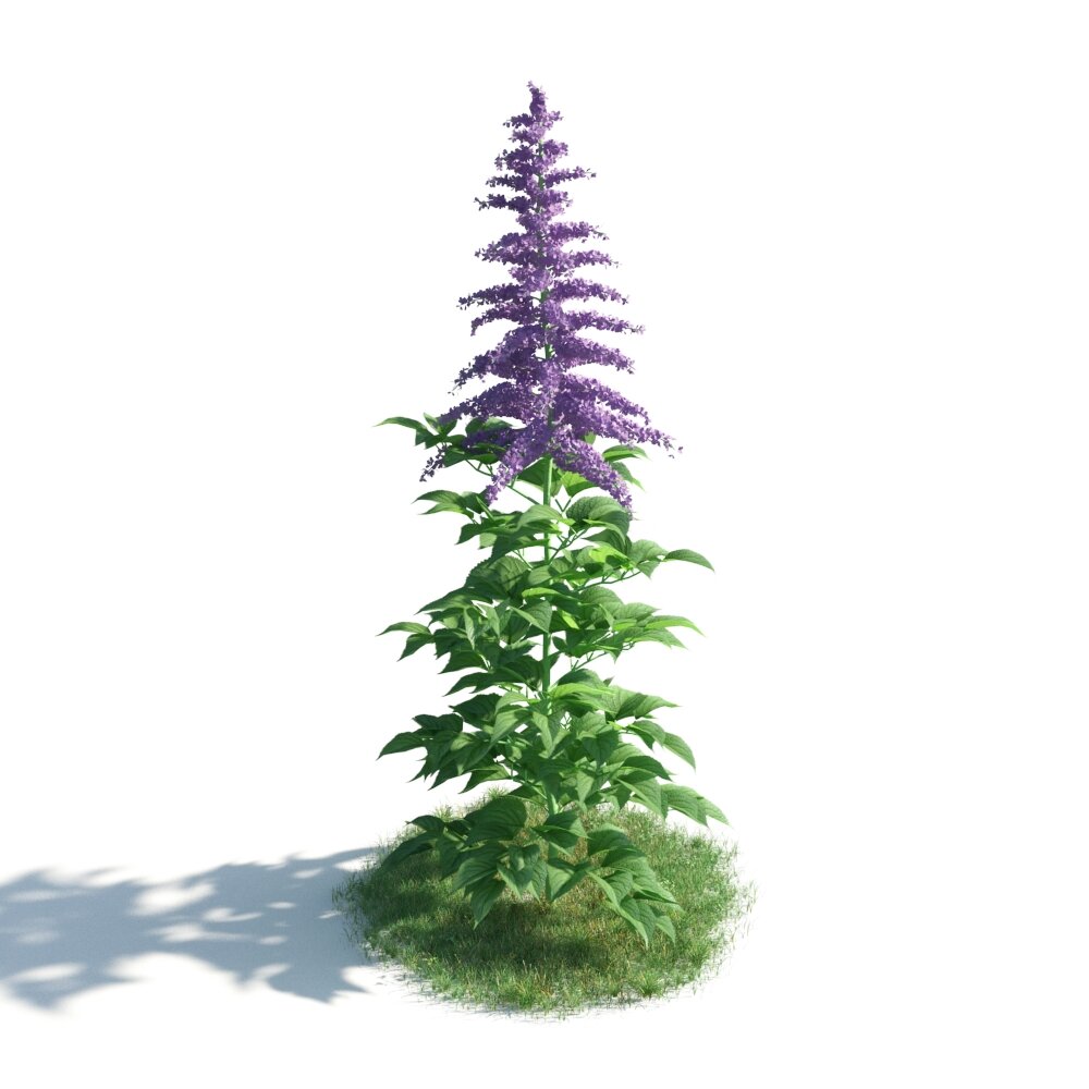 Purple Flowering Plant 3D model - Download Flowers on 3DModels.org