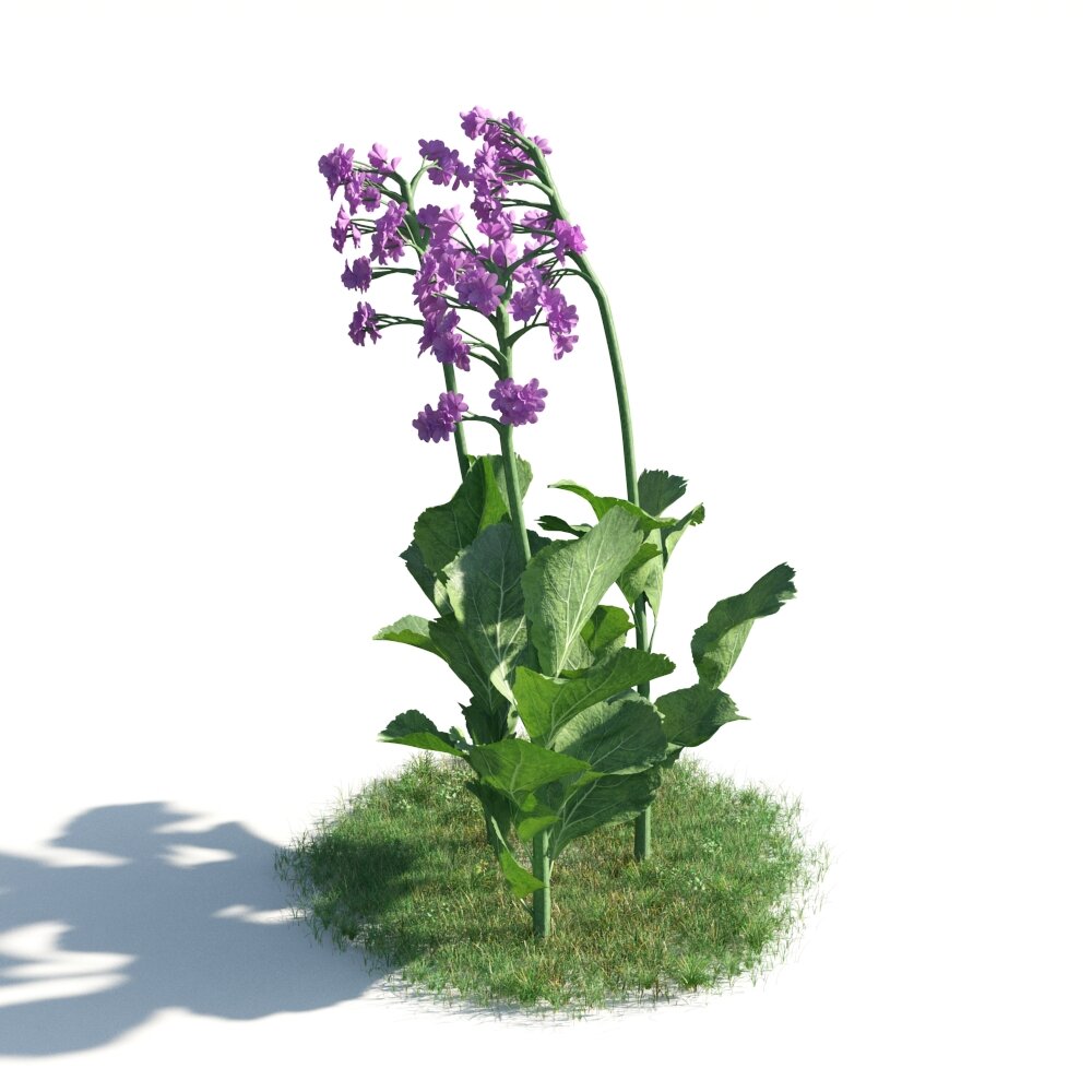 Purple Flower Plant 3D model - Download Flowers on 3DModels.org