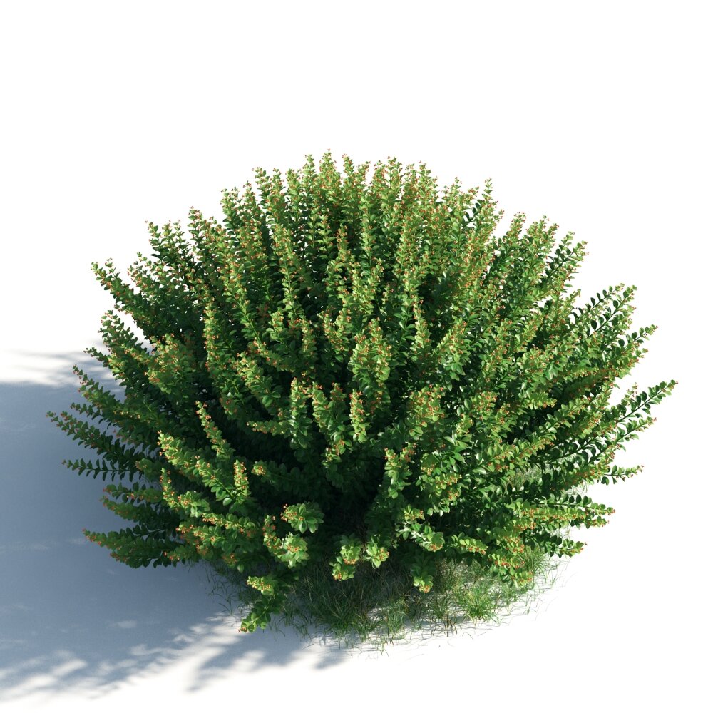 Lush Green Shrub 04 3D model - Download Bushes on 3DModels.org