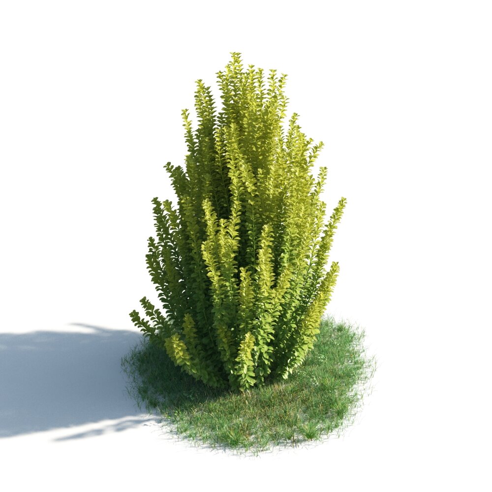 Vibrant Green Shrub 3D model - Download Bushes on 3DModels.org