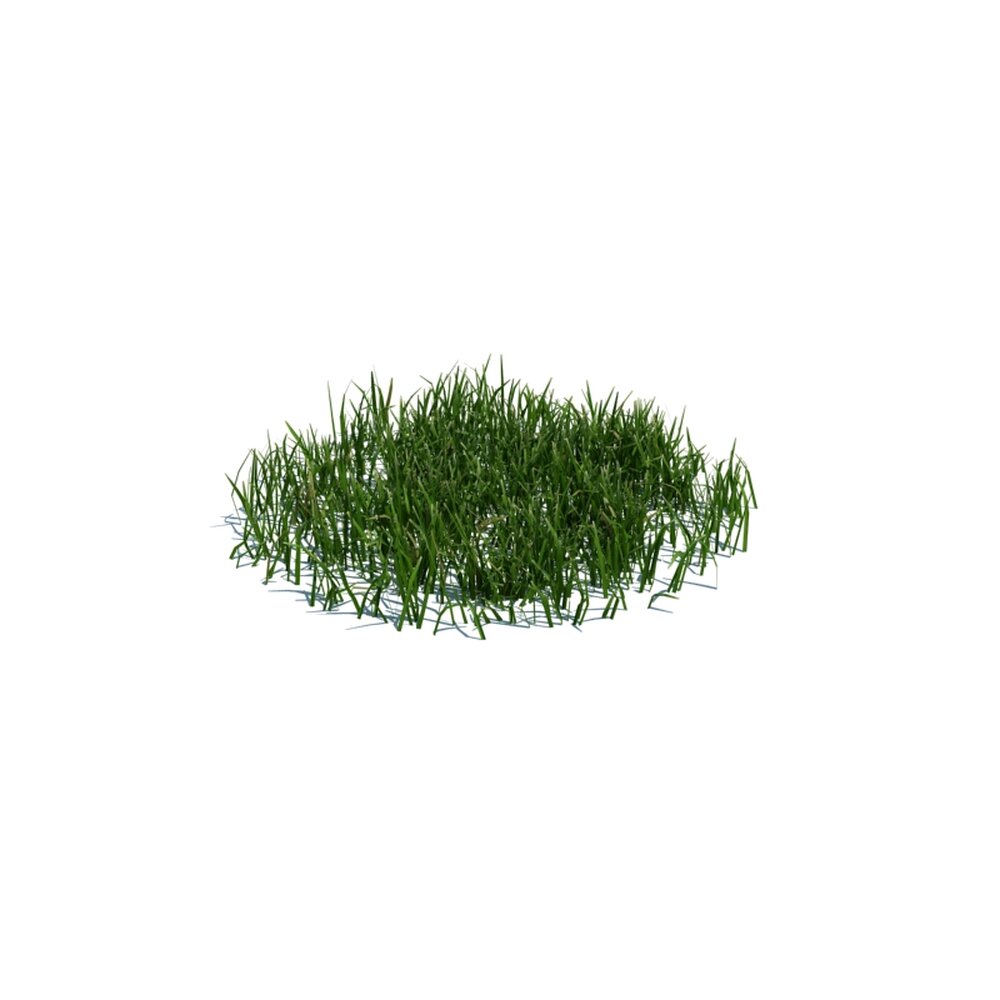 Medium Wild Grass Patch with Green Blades 3D model - Download Grass on ...