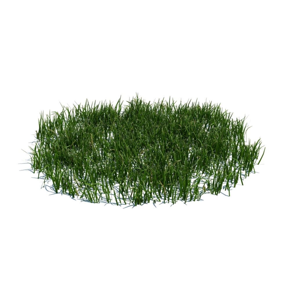 Dense Circular Patch of Vibrant Green Grass 3D model - Download Grass ...