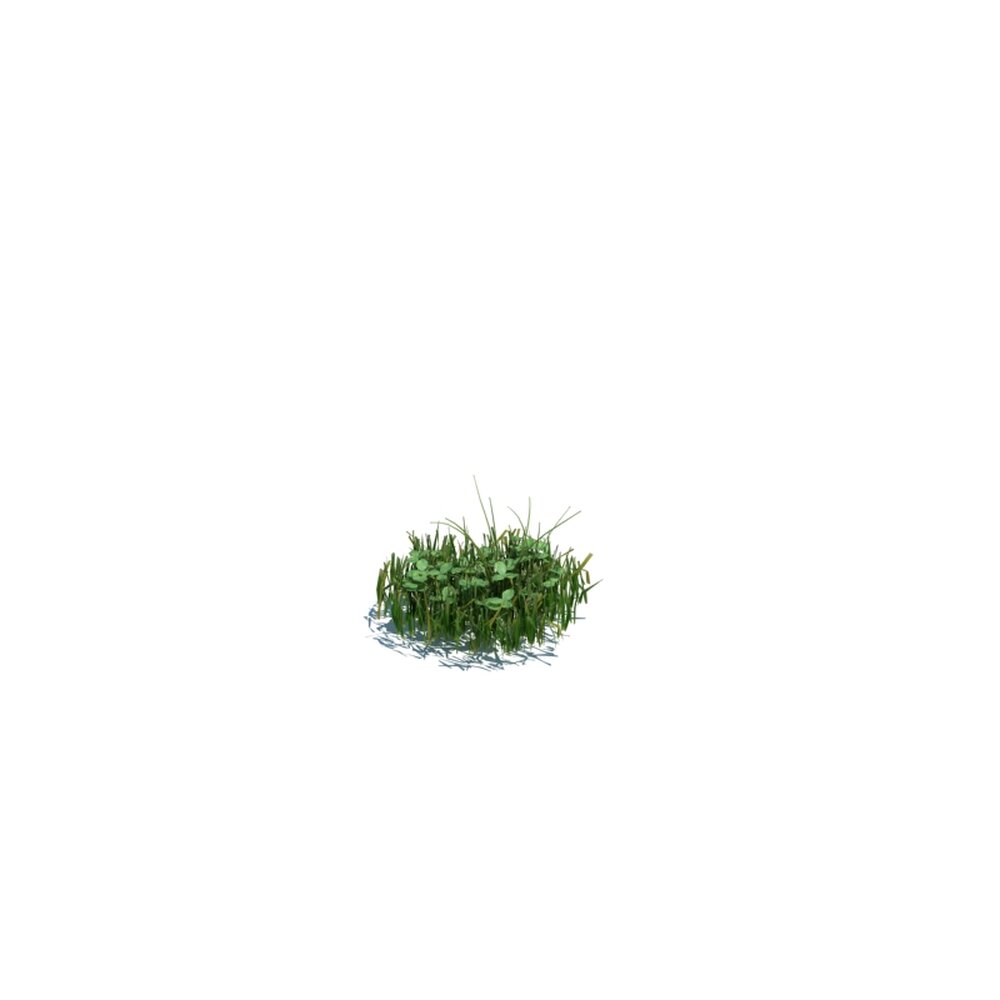 Short Green Grass Patch with Wild Blades 3D model - Download Grass on ...