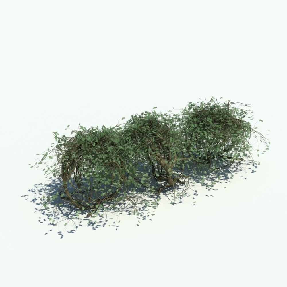 Seto de Jardín Arbusto con Follaje Topiary Modelo 3D - Descargar ...