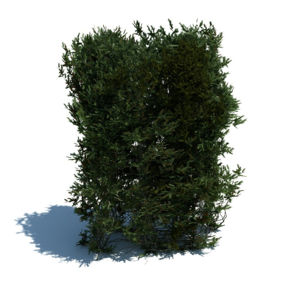Boxwood Hedge Shrub Bush Topiary Garden Barrier 3D model - Download ...