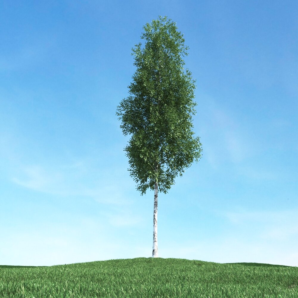 Deciduous Tall Tree on Grassy Hill 3D model - Download Trees on ...