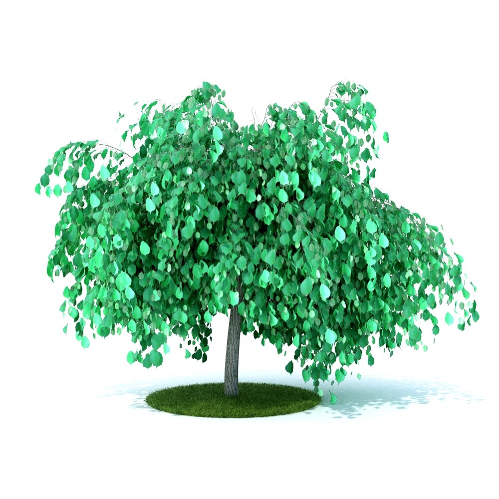 Lush Green Tree with Rounded Leafy Canopy 3D model - Download Trees on ...