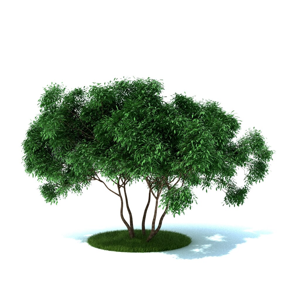 Lush Deciduous Tree with Rounded Dense Canopy 3D model - Download Trees ...