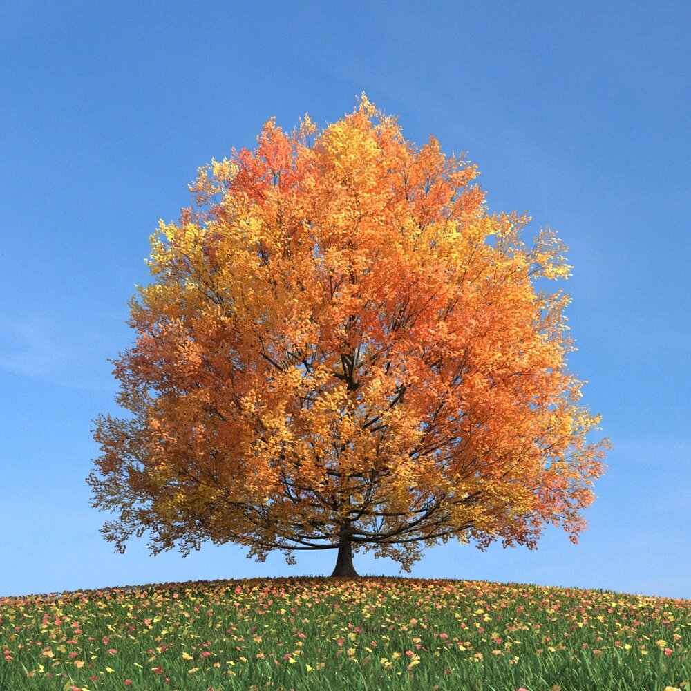 Autumn Maple Tree Hill Flowers Foliage 3D model - Download Trees on ...
