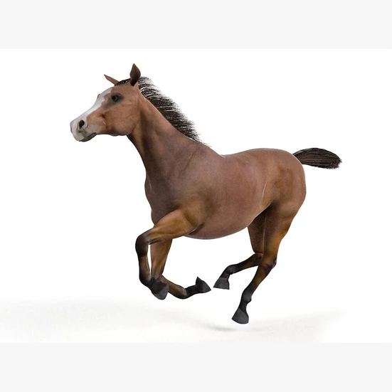 Horse 3D Models Download - 3DModels.org