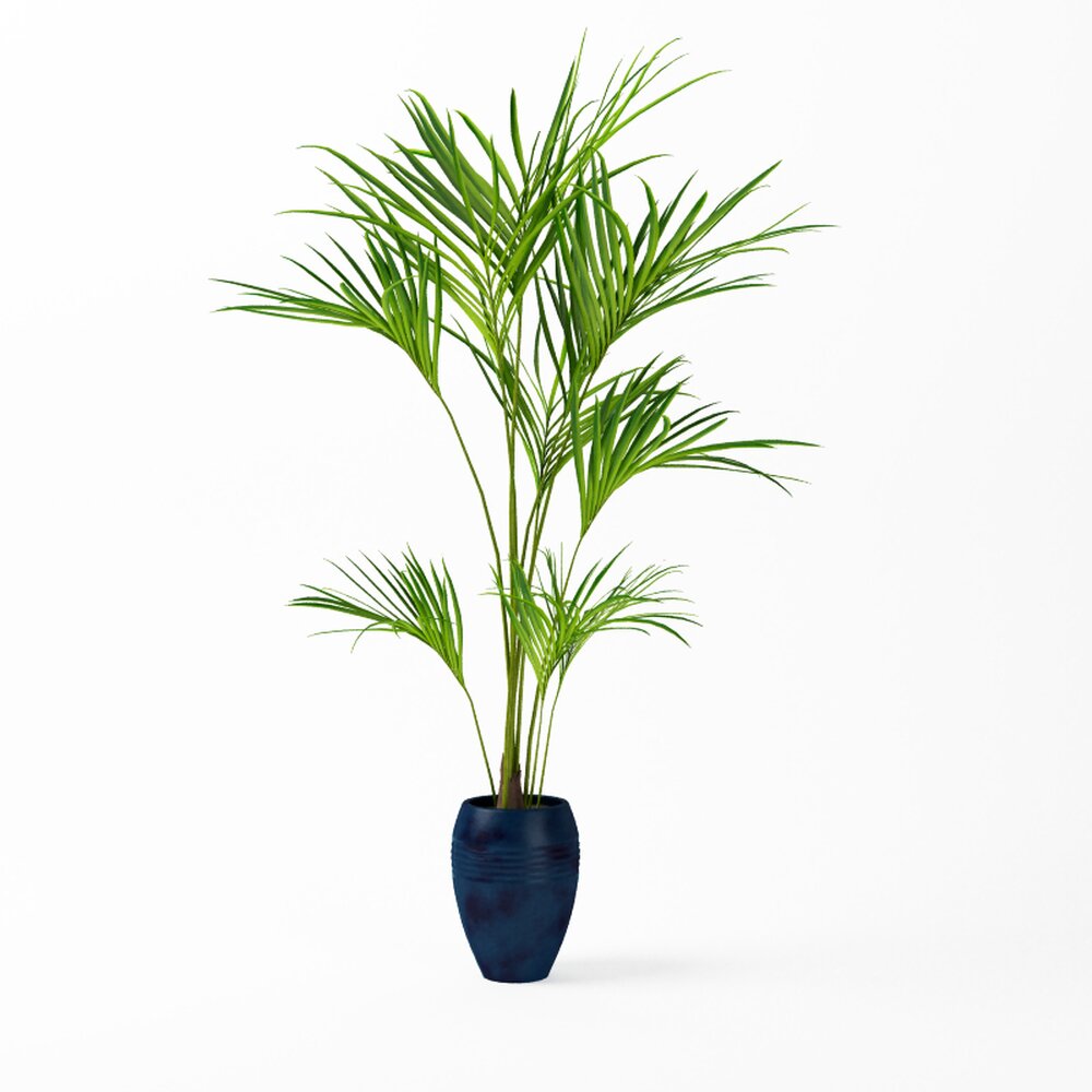 Potted Palm Plant 3D model - Download Houseplants on 3DModels.org
