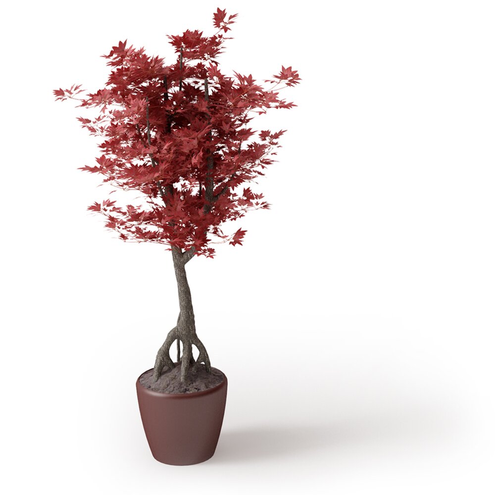 Autumnal Potted Tree 3D model - Download Houseplants on 3DModels.org