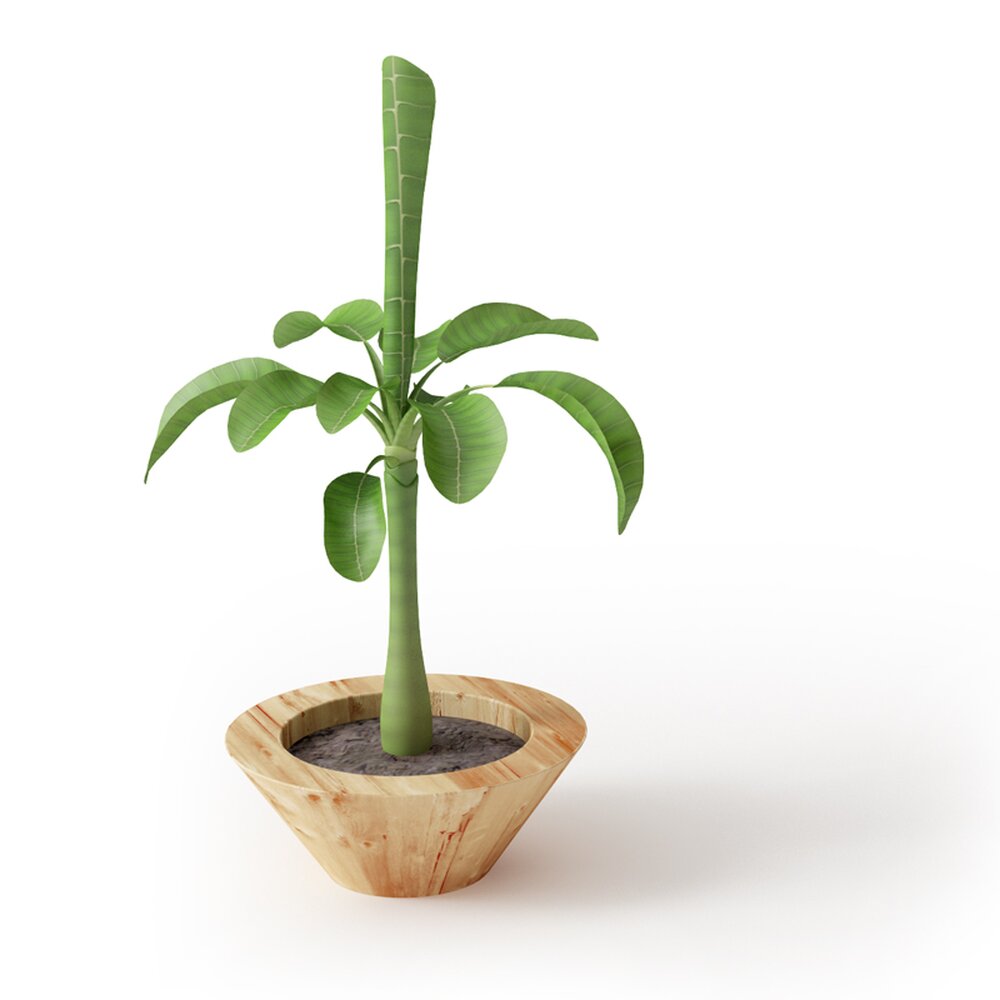 Potted Plant Growth 3D model - Download Houseplants on 3DModels.org