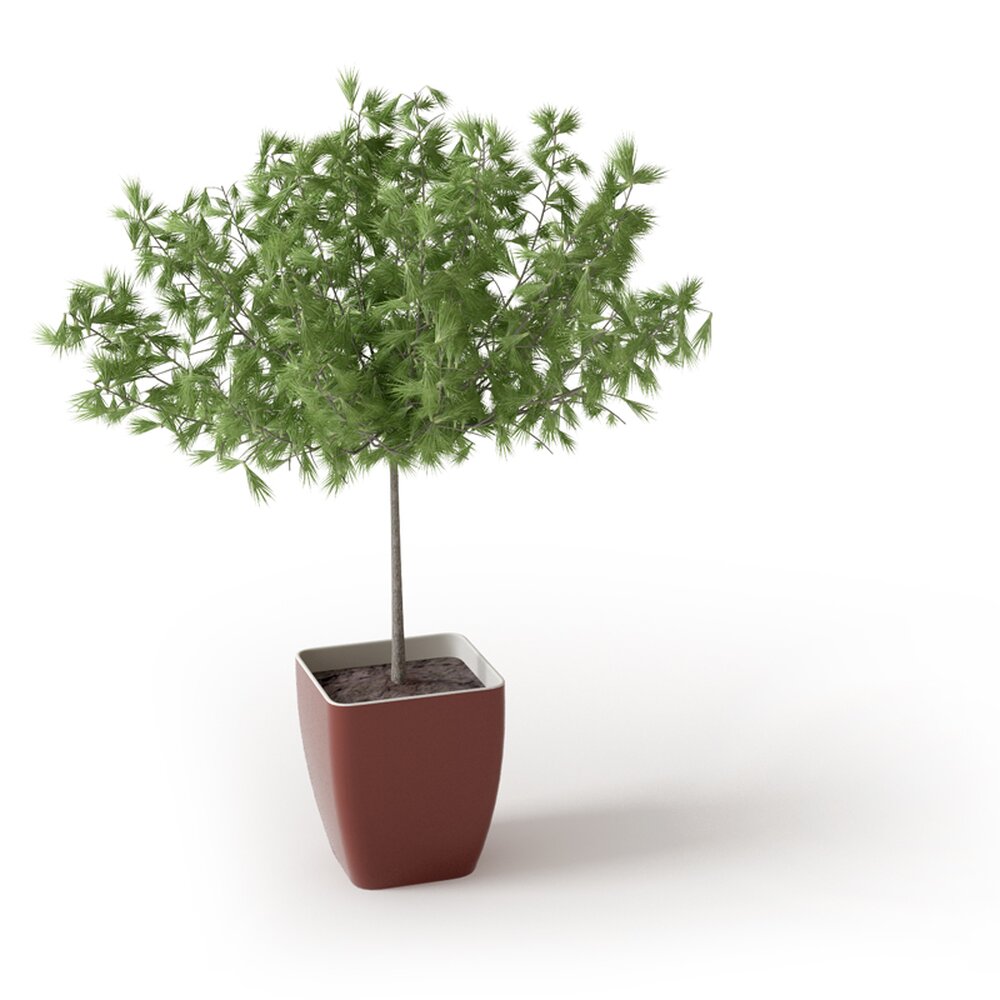 Lush Potted Tree with Rounded Foliage 3D model - Download Houseplants ...