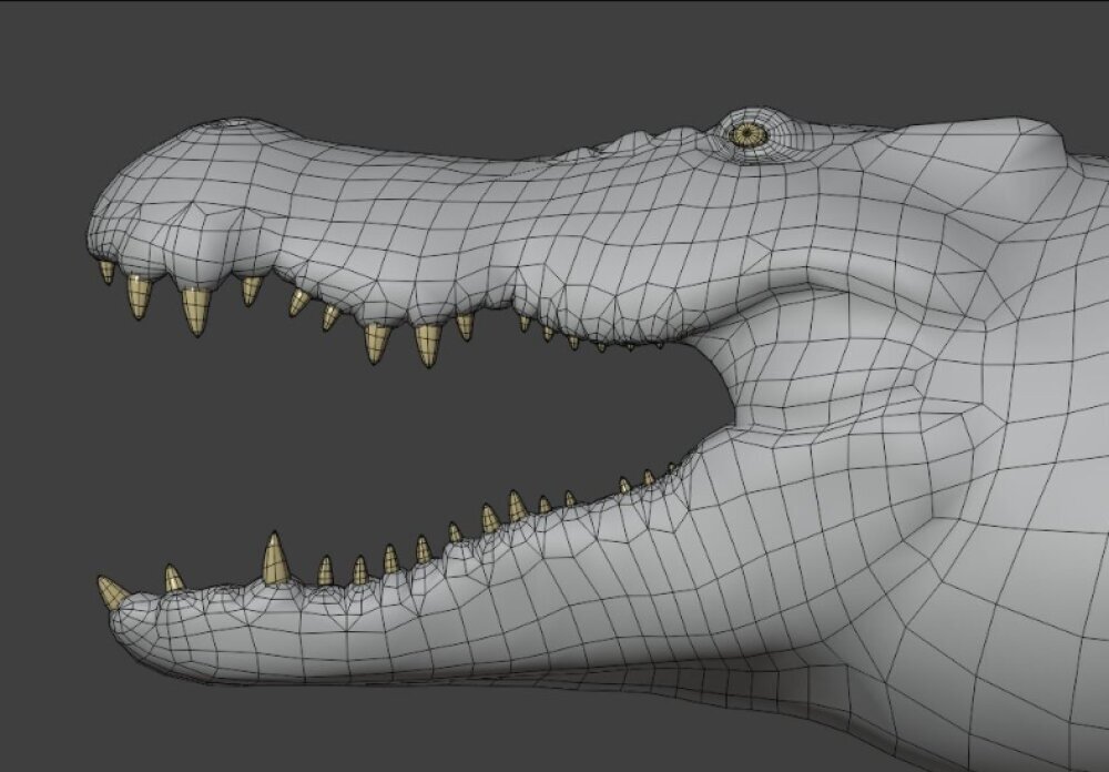 Saltwater Crocodile 3D model - Download Reptile on 3DModels.org
