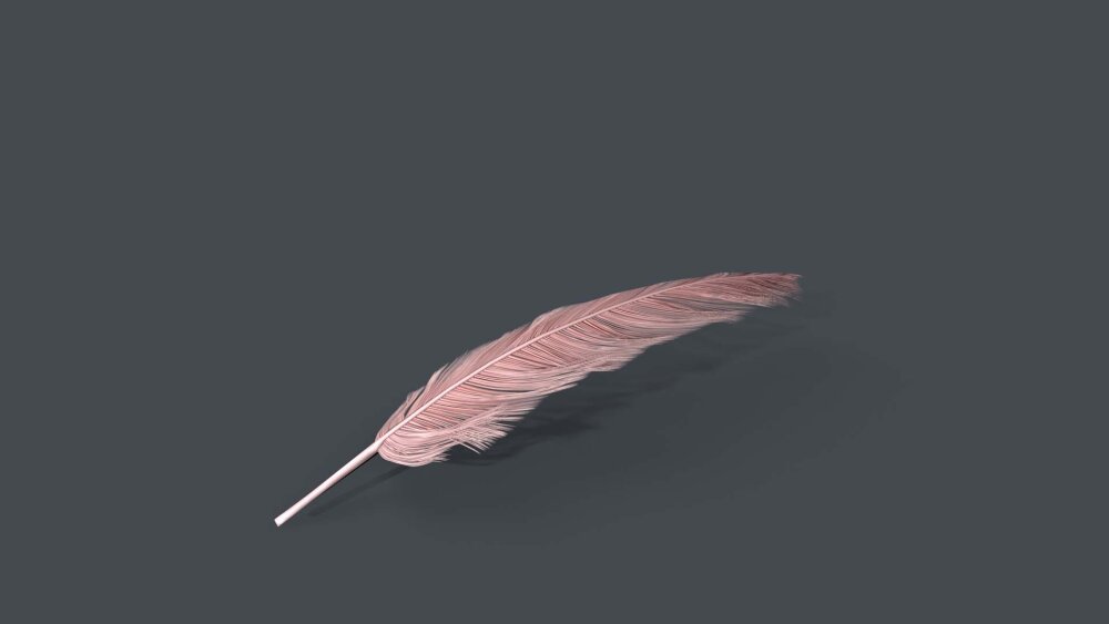 Crow Feather 3D 모델 - 다운로드 새 on 3DModels.org