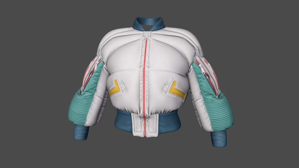 Puffer Jacket with Multicolored Panels 3D model - Download Coats on ...
