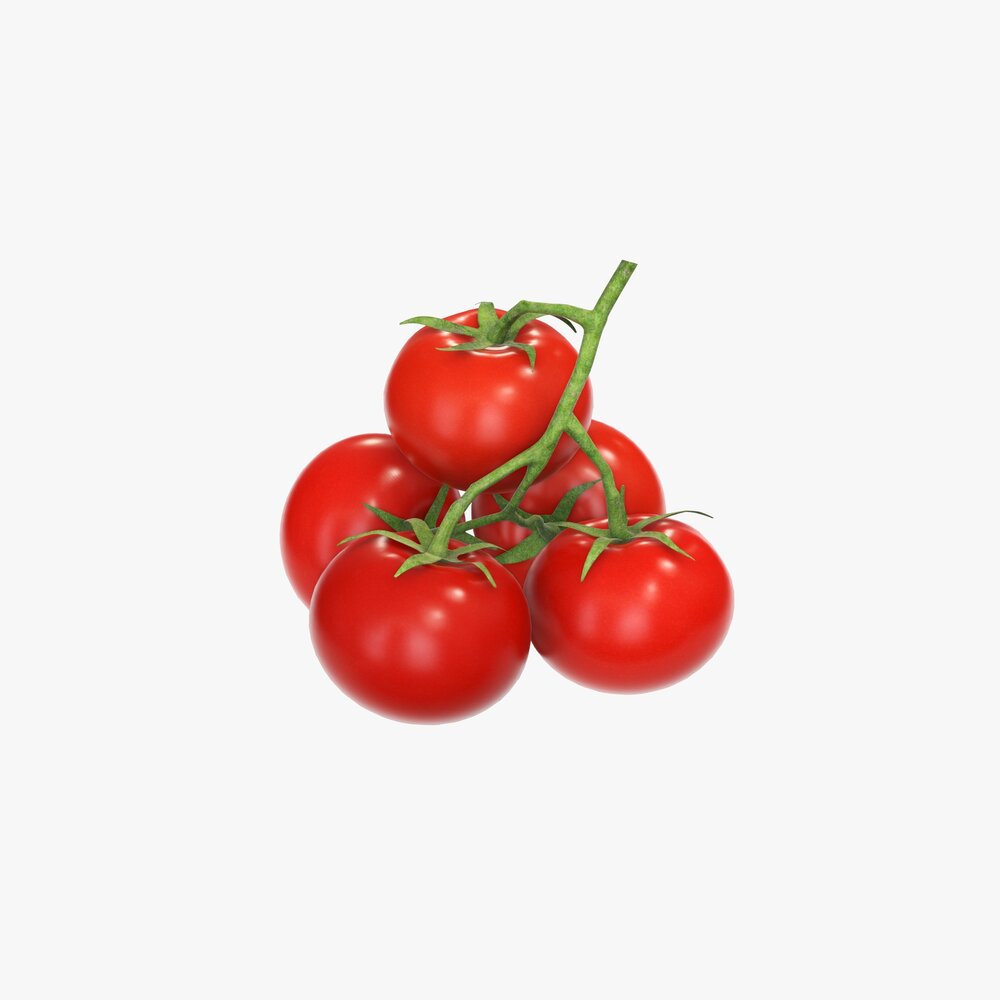 Tomato Branch 01 3D model - Download Vegetables on 3DModels.org