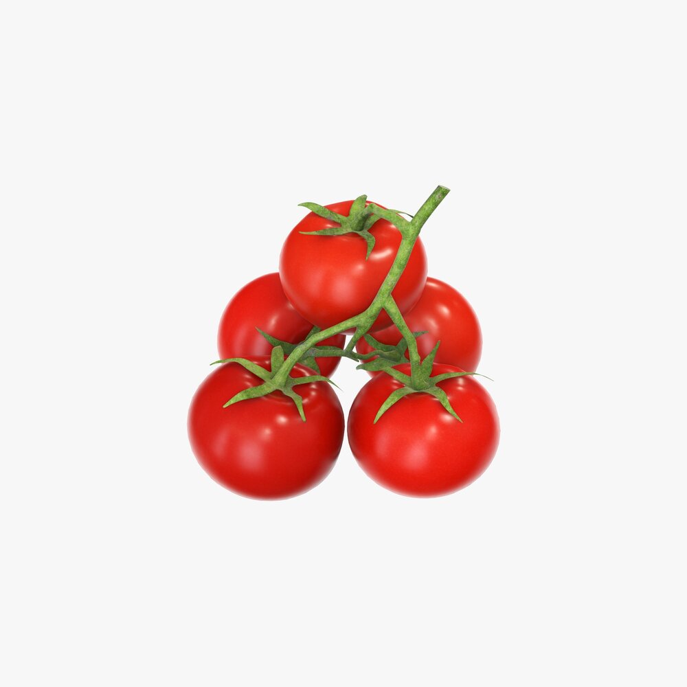 Tomato Branch 01 3D model - Download Vegetables on 3DModels.org