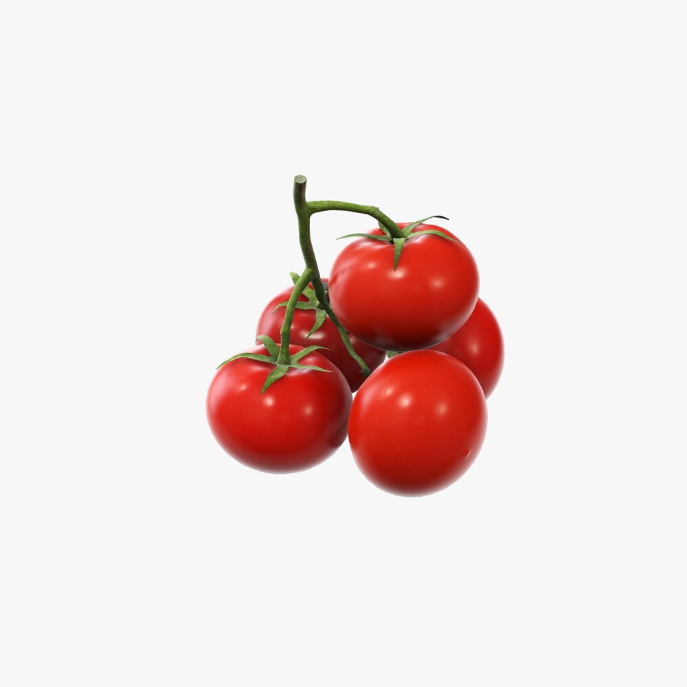 Tomato Branch 01 3D model - Download Vegetables on 3DModels.org