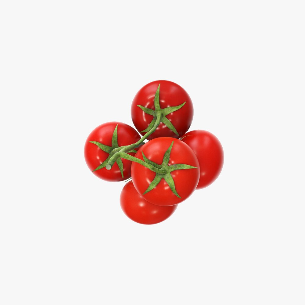 Tomato Branch 01 3D model - Download Vegetables on 3DModels.org