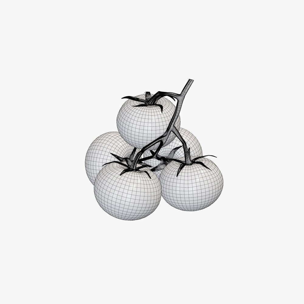 Tomato Branch 01 3D model - Download Vegetables on 3DModels.org