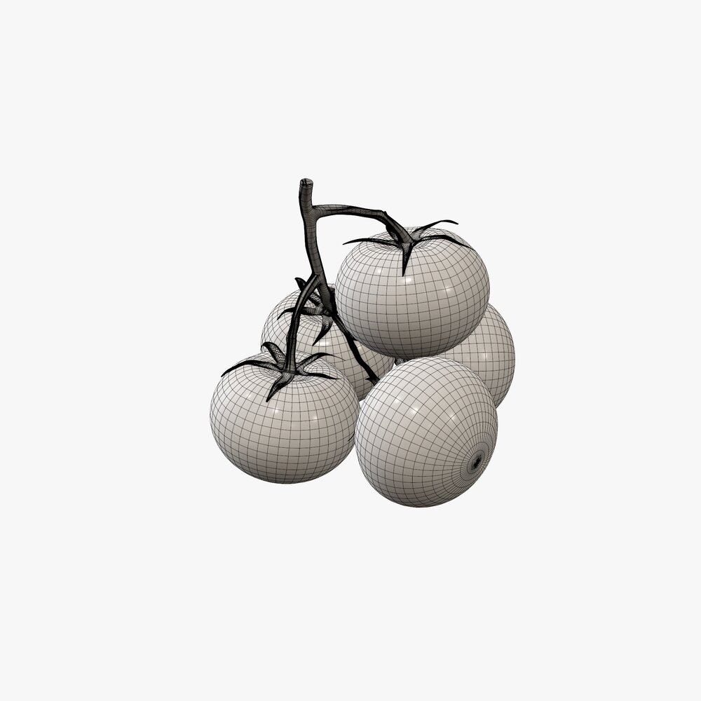 Tomato Branch 01 3D model - Download Vegetables on 3DModels.org