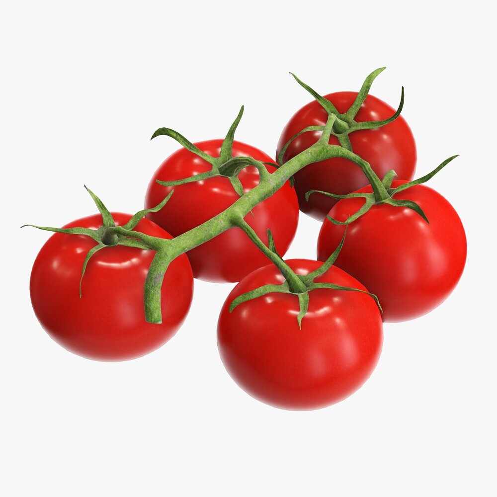Tomato Branch 02 3D model - Download Vegetables on 3DModels.org