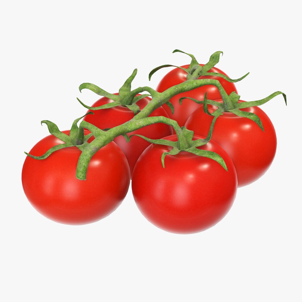 Tomato Cherry Red Small Branch 01 3D model - Download Vegetables on ...